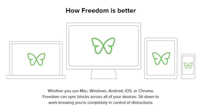 Top 23 Apps to Improve Focus and Concentration (2025)