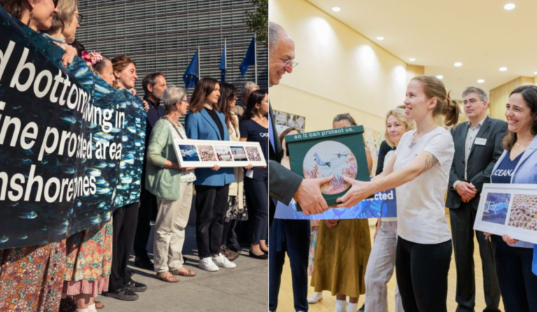 20 Real-Life Examples of Accountability in The Workplace in 2025